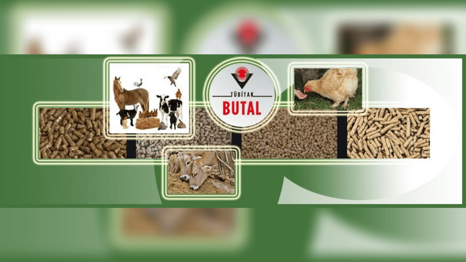 Animal Feed Analysis at TÜBİTAK BUTAL - TÜBİTAK BUTAL